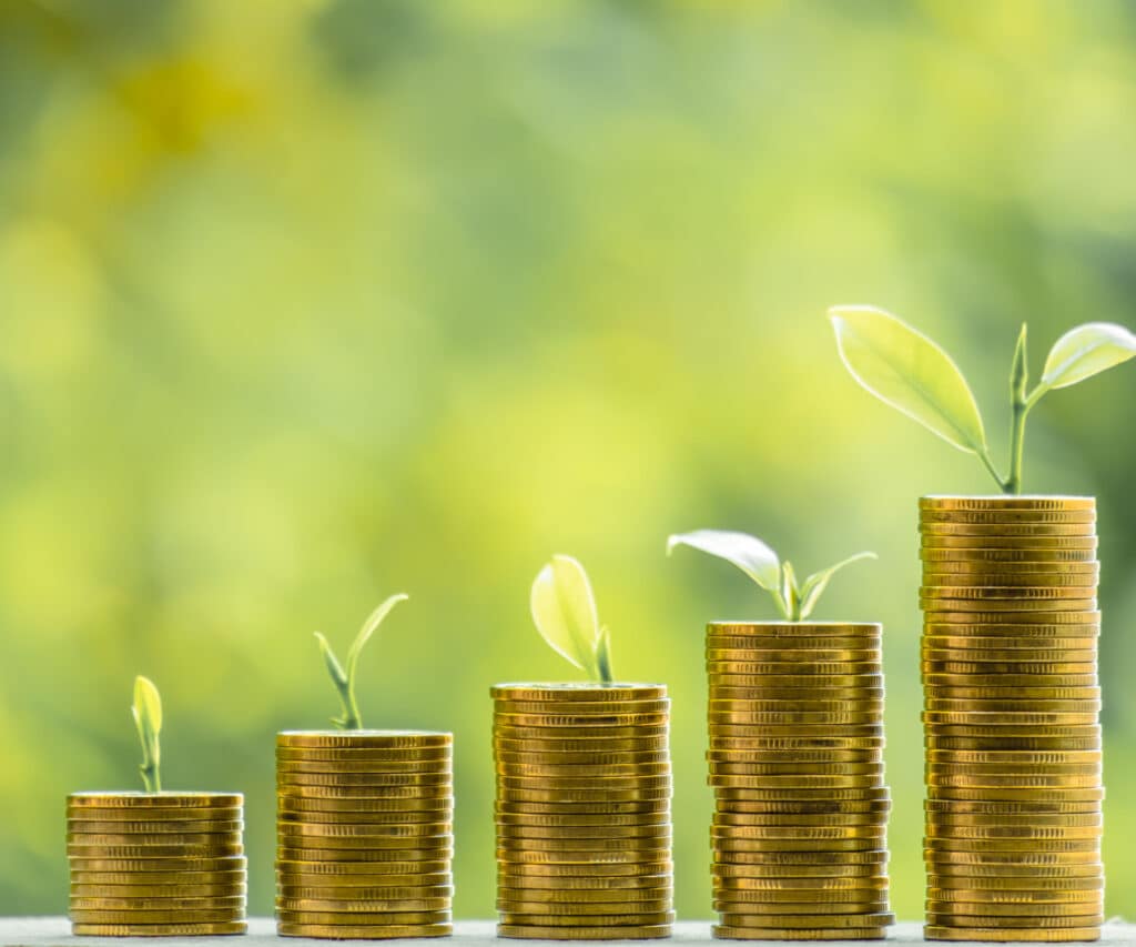 Towards a European ‘gold standard’ for green bond issuances - Camilleri ...